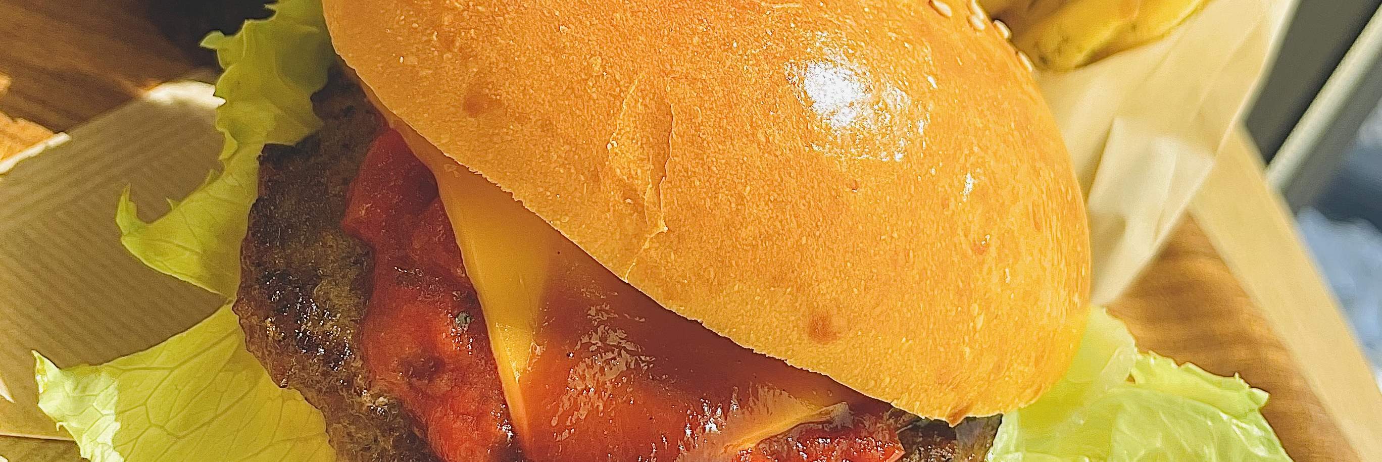 [Depart from Kumamoto] Amakusa Wild Dolphin Watching and Juicy Burger ...